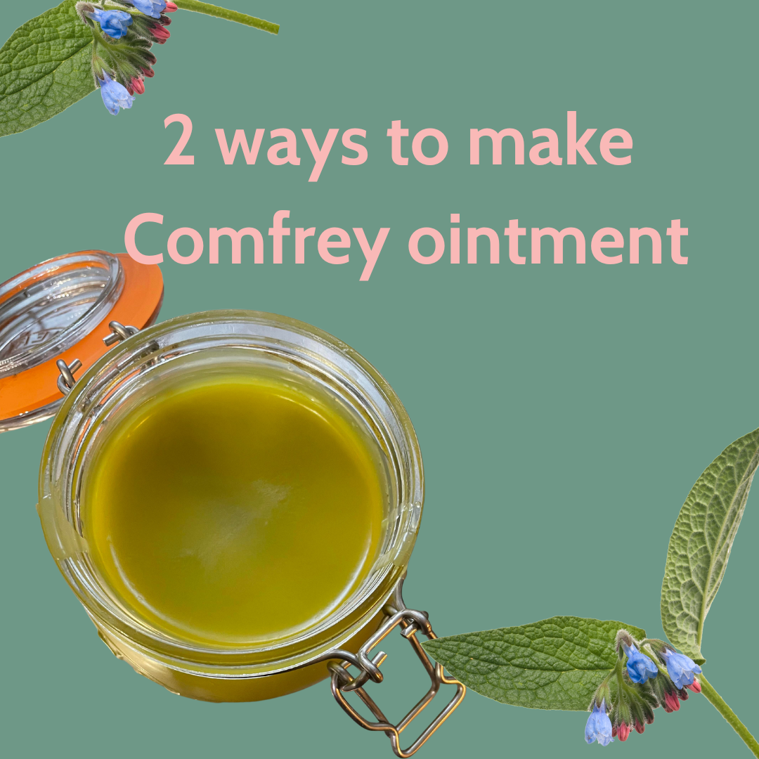 2 ways to make Comfrey ointment. – marvelloussuperfood