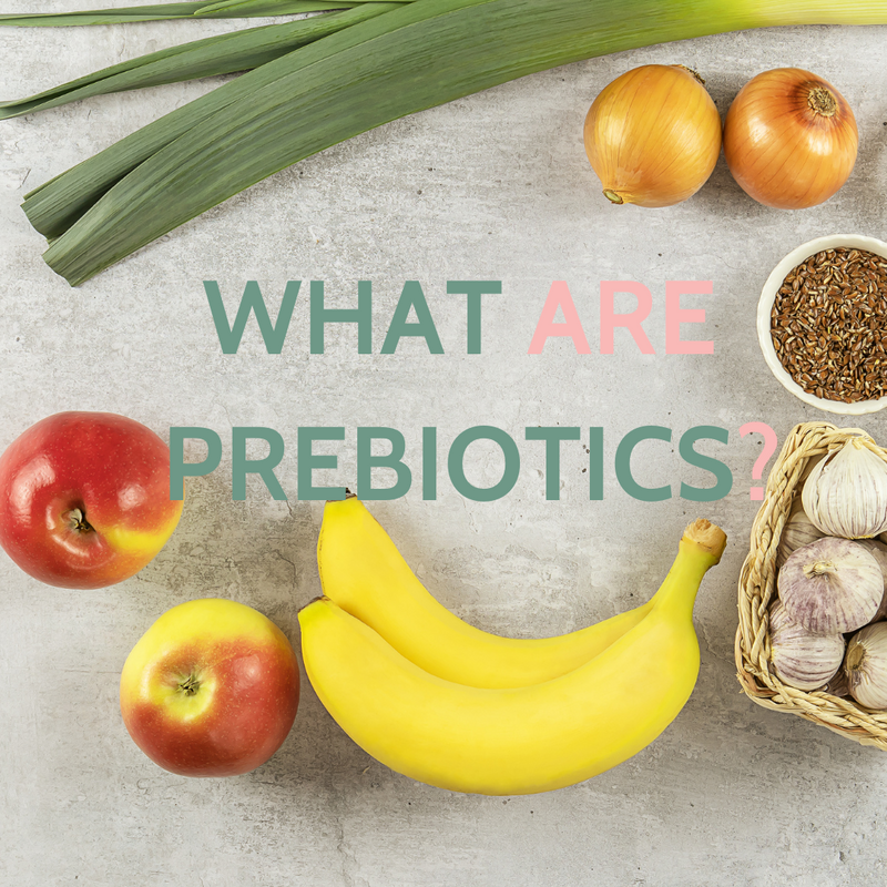 WHAT ARE PREBIOTICS – marvelloussuperfood